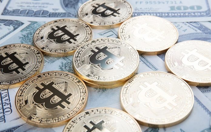 Os Fundos De Hedge Adotam A Maior Posição De Baixa Nos Futuros De Micro 